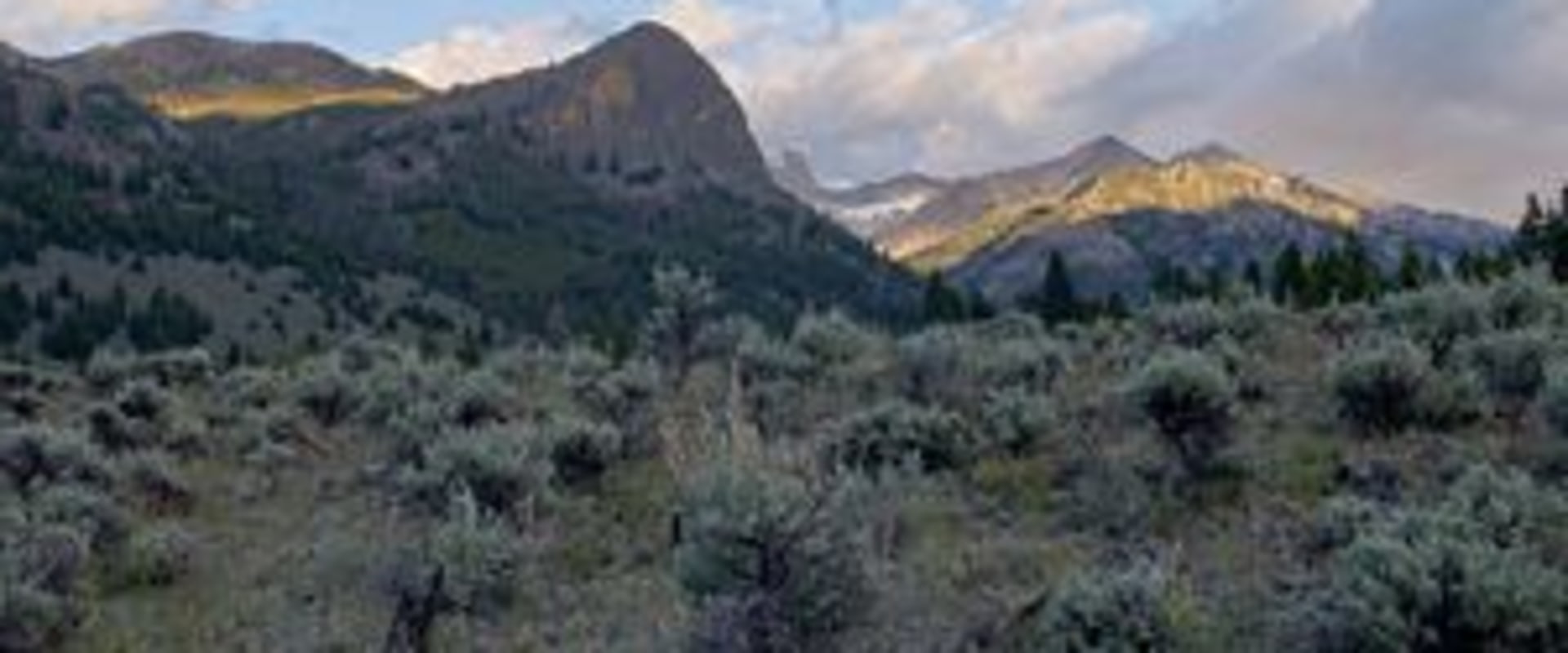 Environmental Challenges Faced by Organizations in Boise, Idaho: A ...